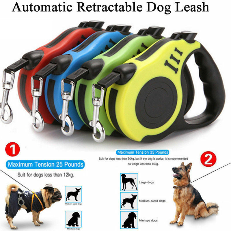 Automatic Retractable Dog Leash – Petjoyoutlet